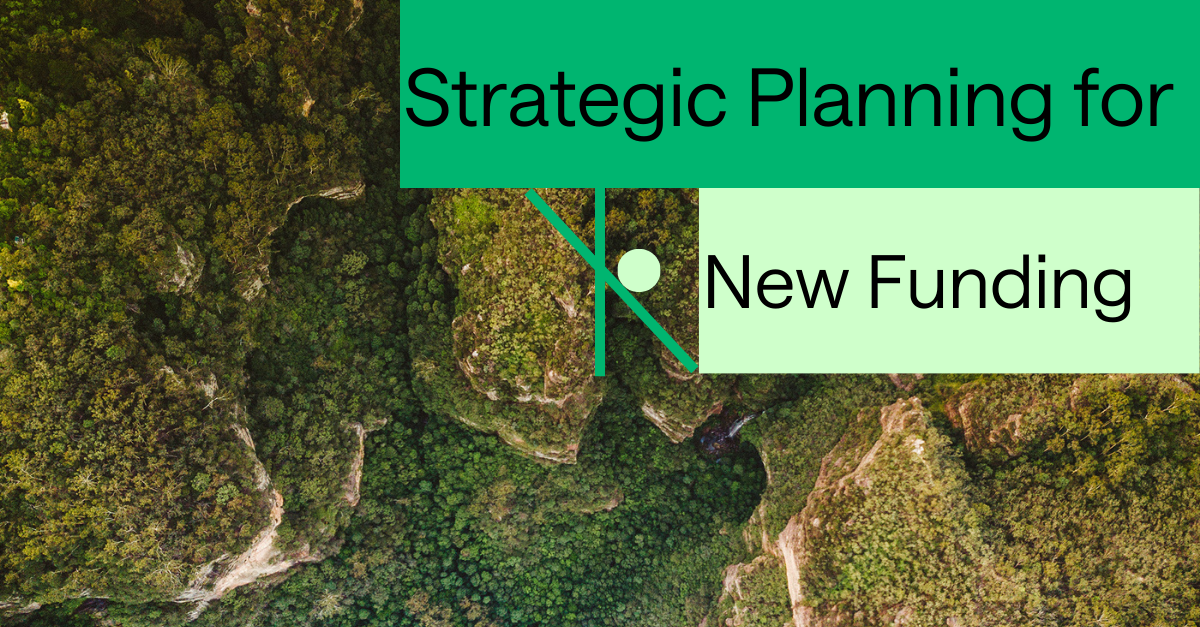 Your organization received an unexpected influx of funding. Now what ...